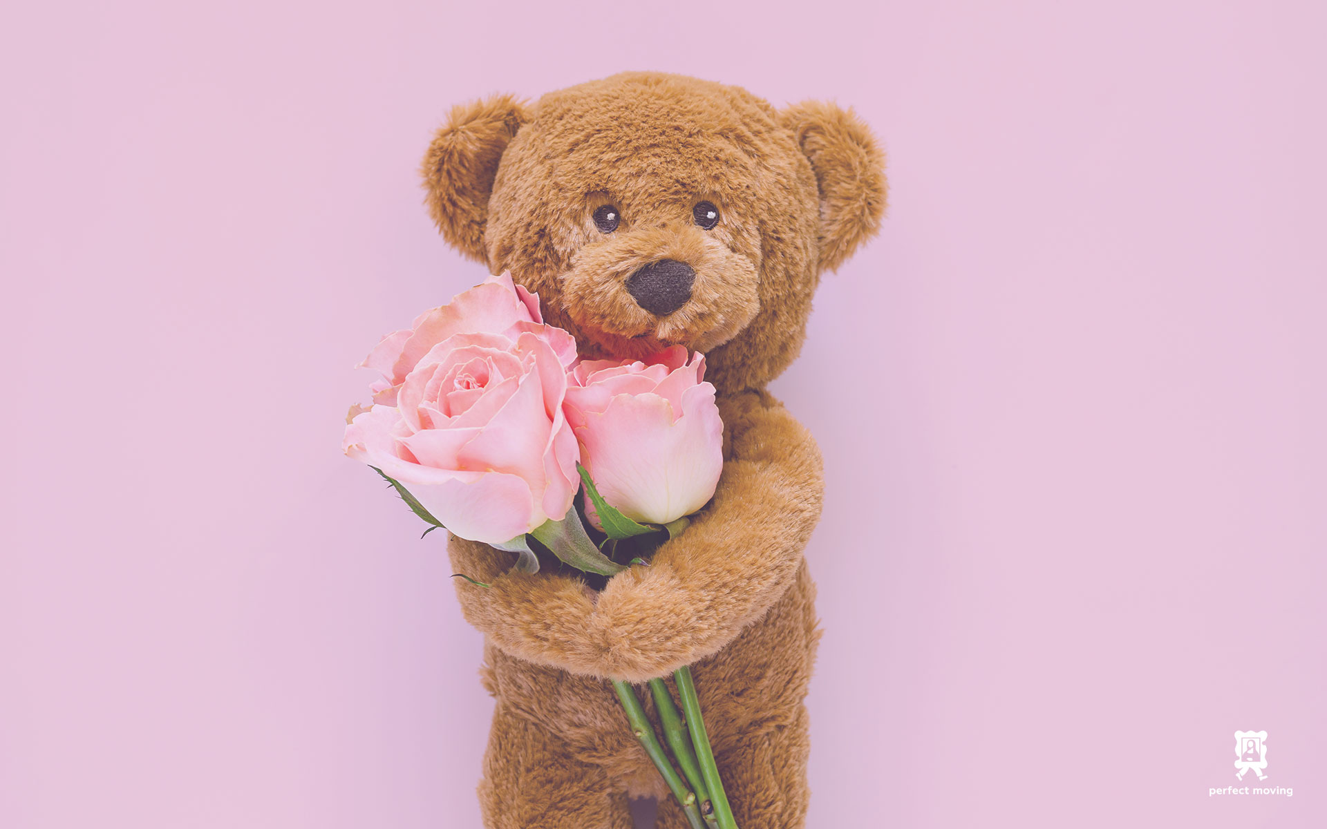 Teddy Bear Day - Perfect Moving