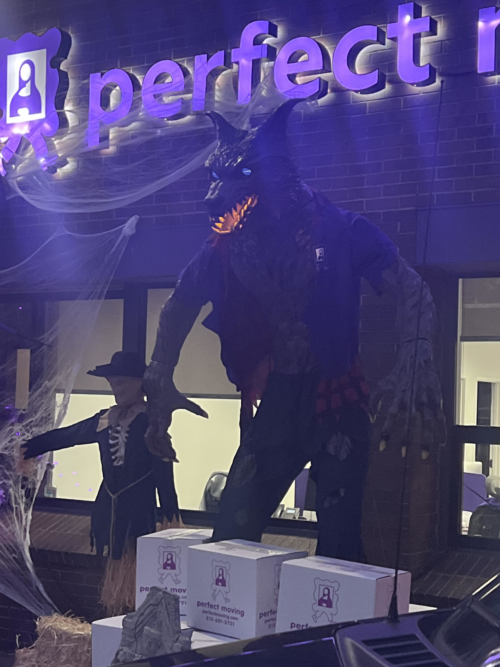 Why Perfect Moving is the Perfect Mover for Long Island City